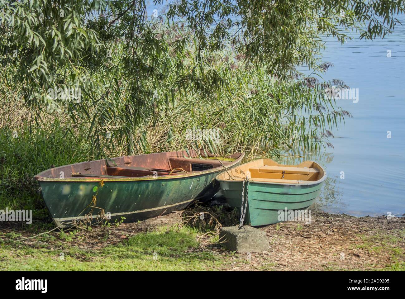 Lakeside, Island Reichenau, Lake Constance Stock Photo - Alamy