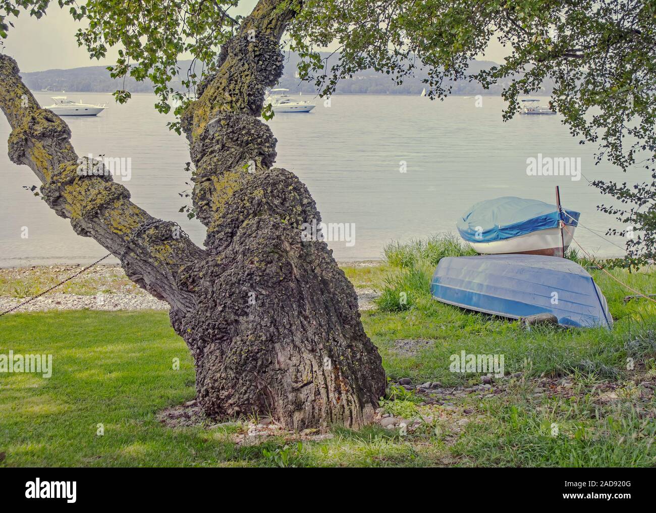 Lakeside, Island Reichenau, Lake Constance Stock Photo - Alamy