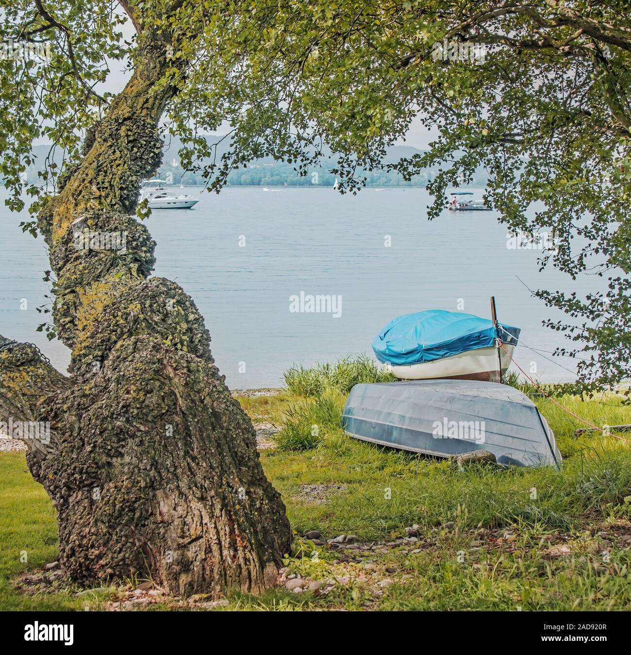 Lakeside, Island Reichenau, Lake Constance Stock Photo - Alamy