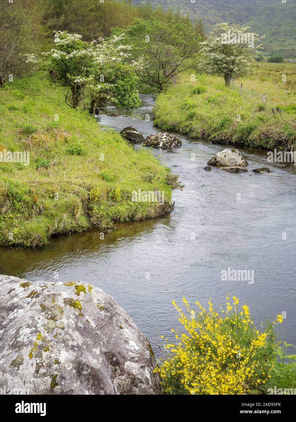 Small river in county kerry ireland Stock Photo - Alamy
