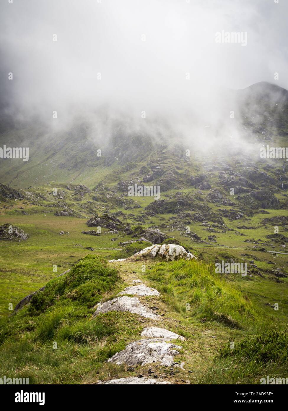 Mist and fog in national park at kerry ireland Stock Photo - Alamy
