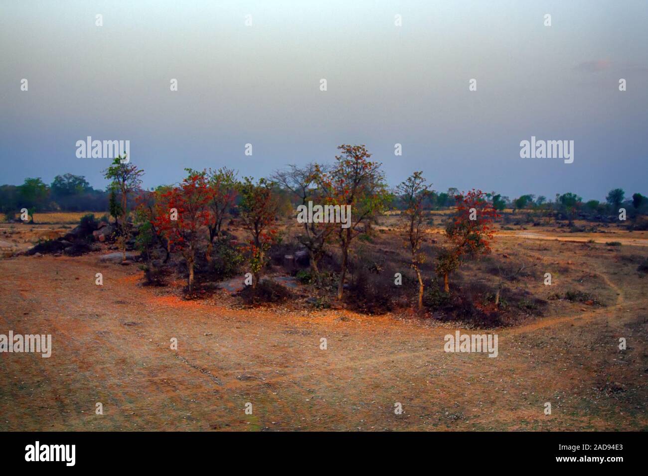 Burned fields hi-res stock photography and images - Alamy
