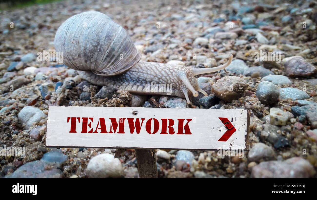 Street Sign to Teamwork Stock Photo - Alamy