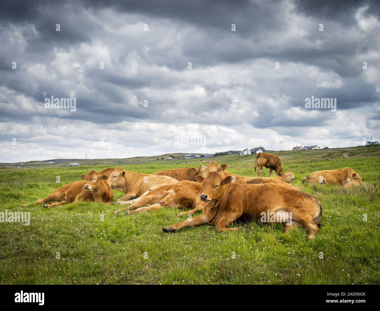 Do not be lazy hi-res stock photography and images - Alamy