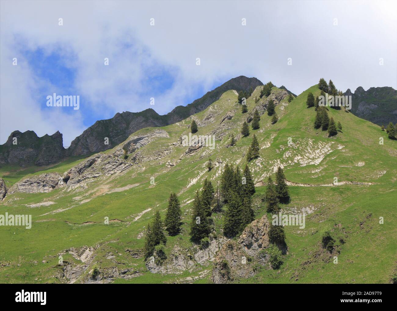 Landscape seen from the Brienzer Rothorn steam train, Switzerland Stock ...