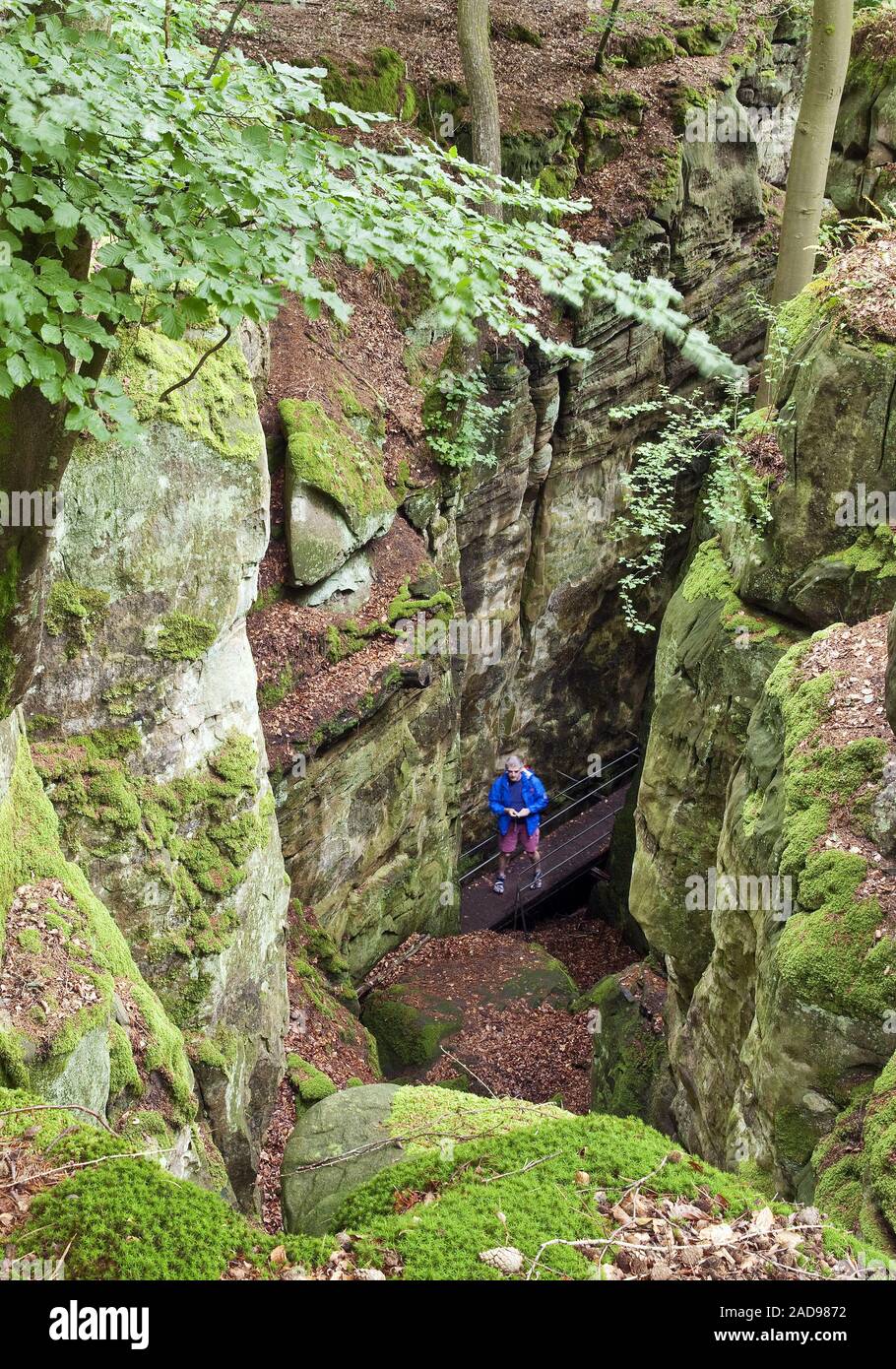 wanderer in the Devil´s Gorge in the South Eifel Nature Park, Irrel ...