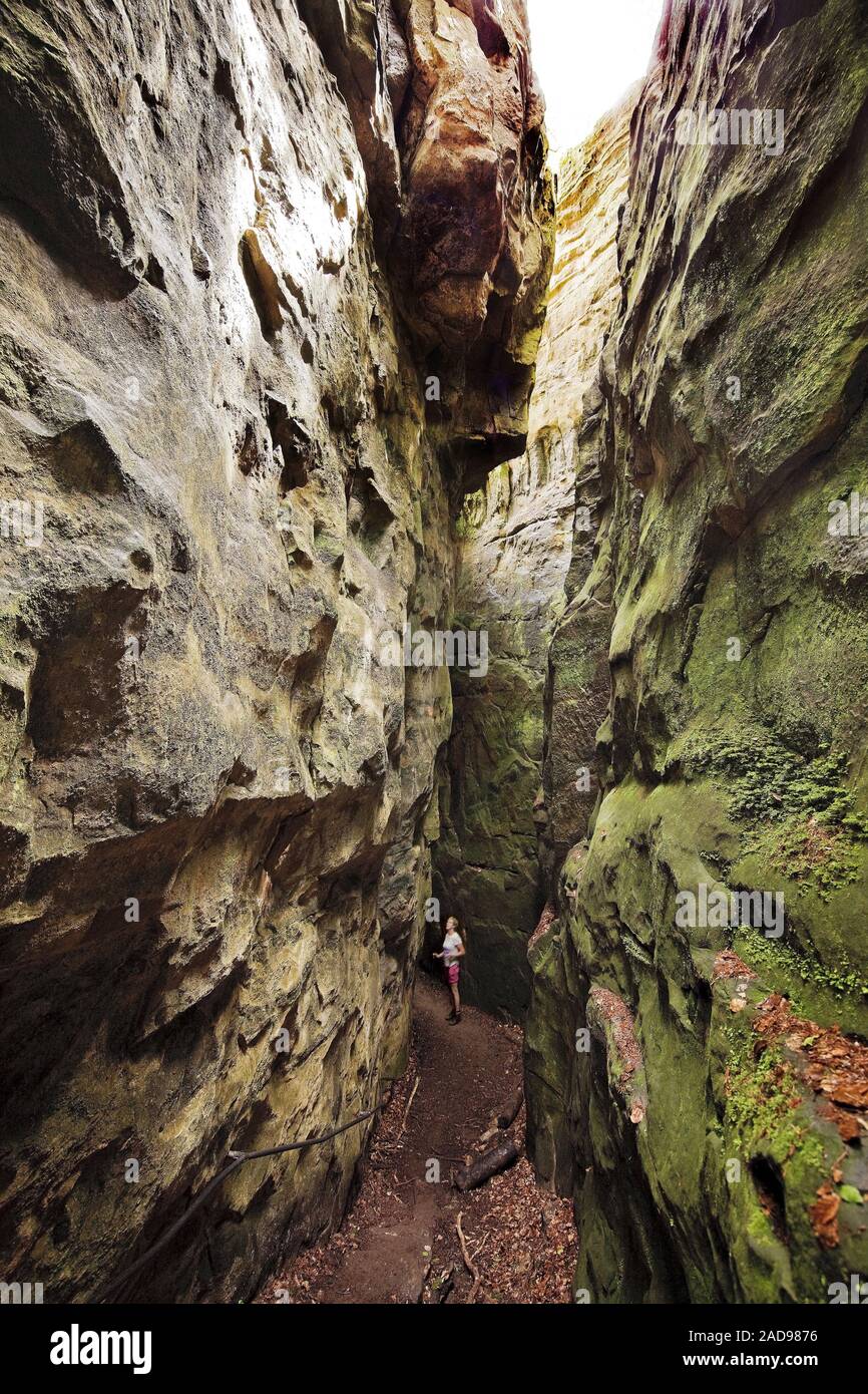 people in the Devil´s Gorge in the South Eifel Nature Park, Irrel ...