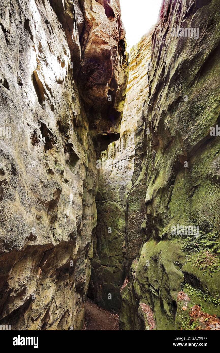 Devil´s Gorge in the South Eifel Nature Park, Irrel, Eifel, Rhineland ...