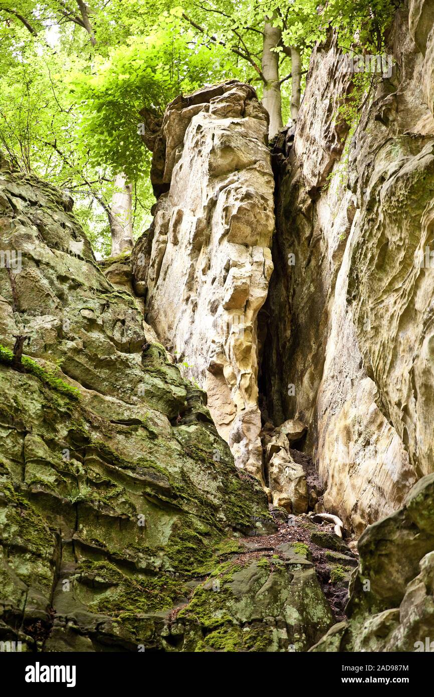rock wall of the Devil´s Gorge in the South Eifel Nature Park, Irrel ...