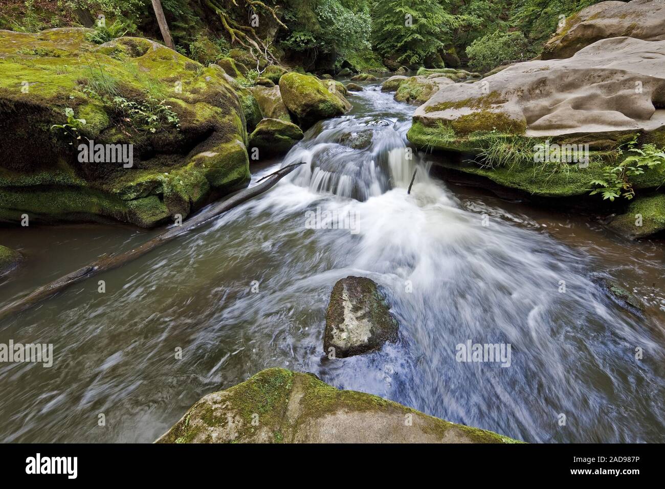 rapids called Irreler Wasserfaelle of the South Eifel Nature Park ...