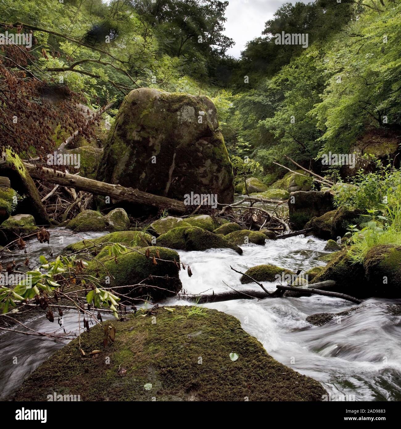 rapids called Irreler Wasserfaelle of the South Eifel Nature Park ...