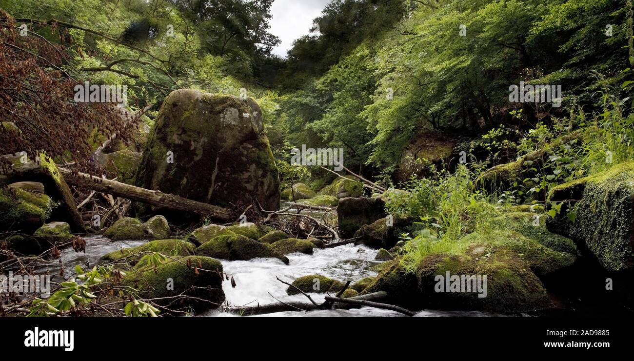 rapids called Irreler Wasserfaelle of the South Eifel Nature Park ...
