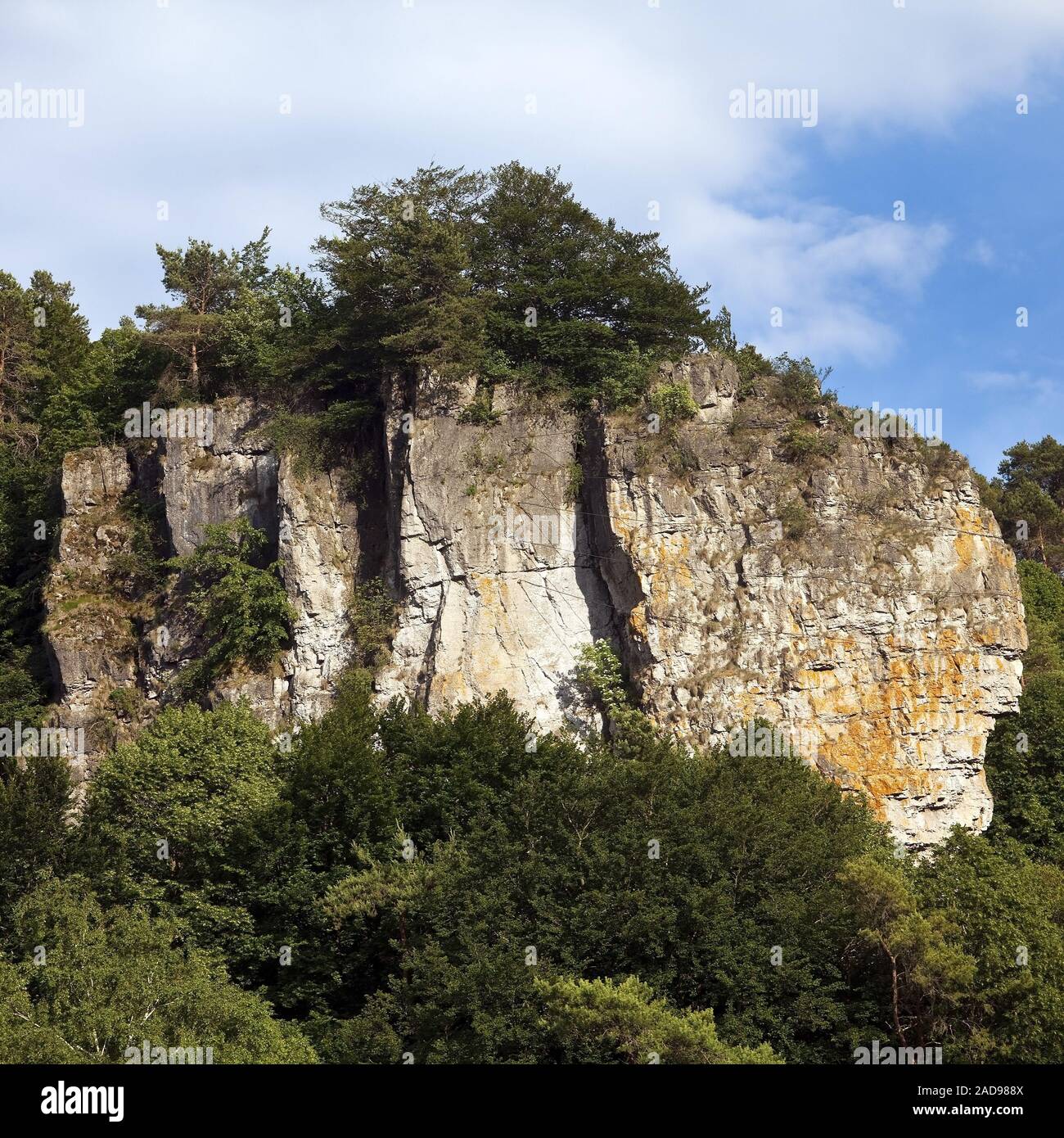 Gerolsteiner Dolomiten, a Devonian limestone reef, Gerolstein ...