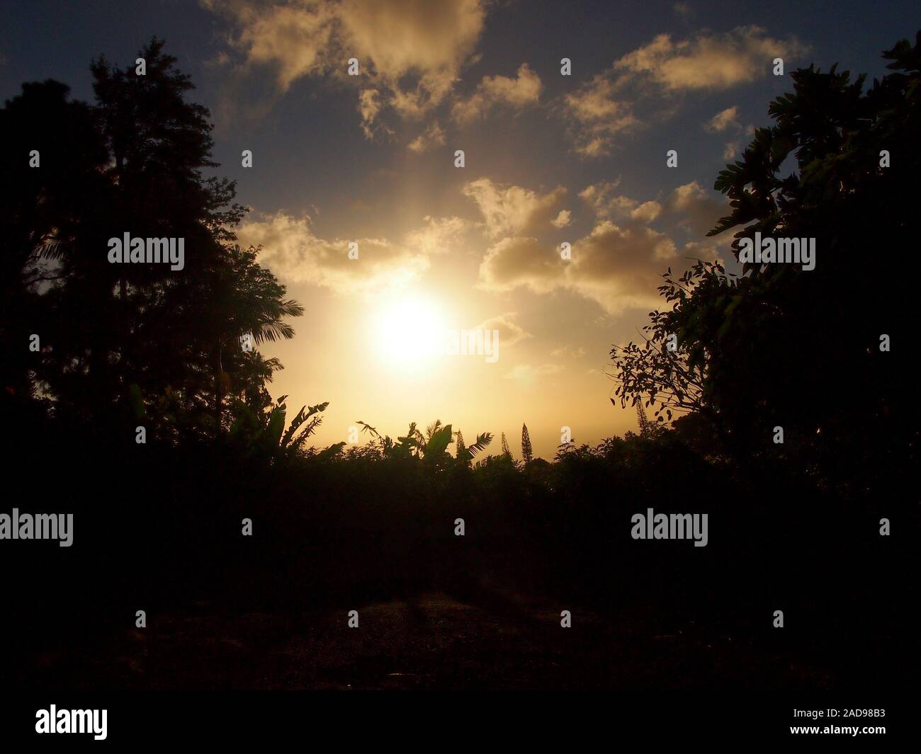 Tropical mountain sunset tantalus on hi-res stock photography and ...