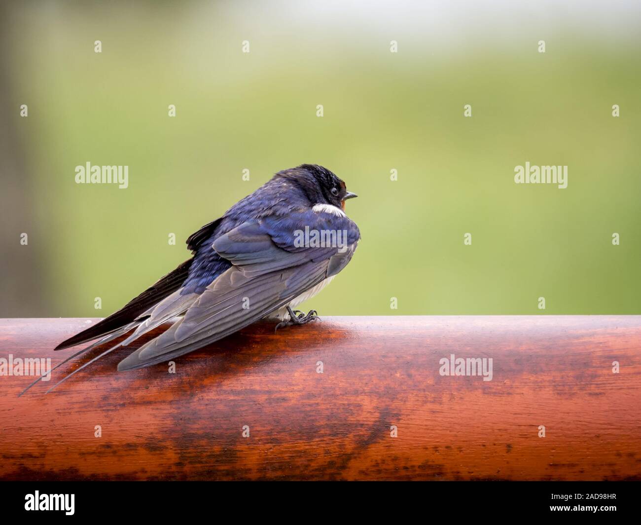 Smoke pole hi-res stock photography and images - Alamy