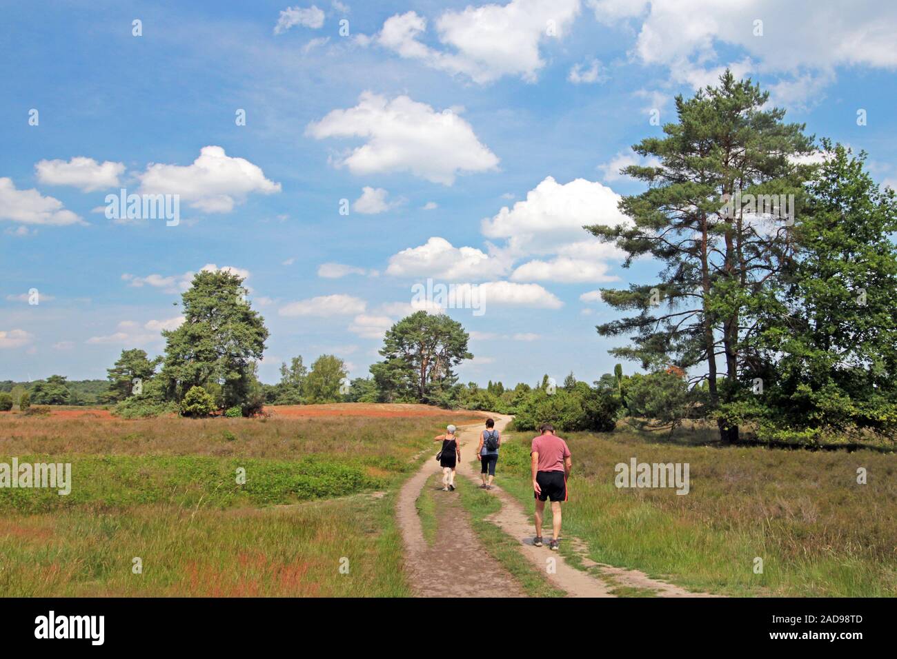 Westruperheide hi-res stock photography and images - Alamy