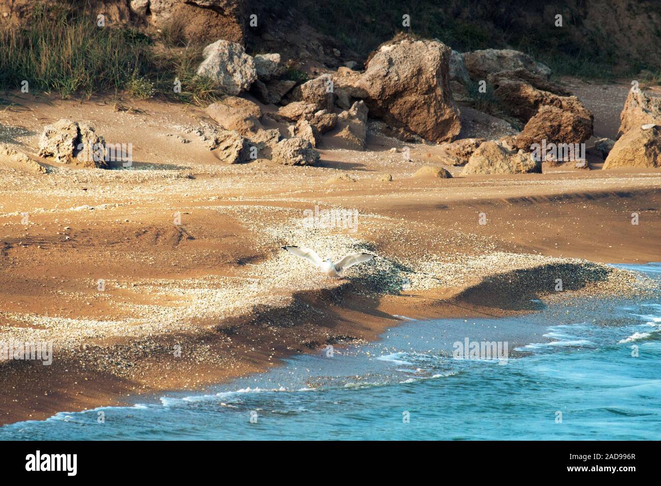 beautiful wild beaches with rocks Stock Photo - Alamy