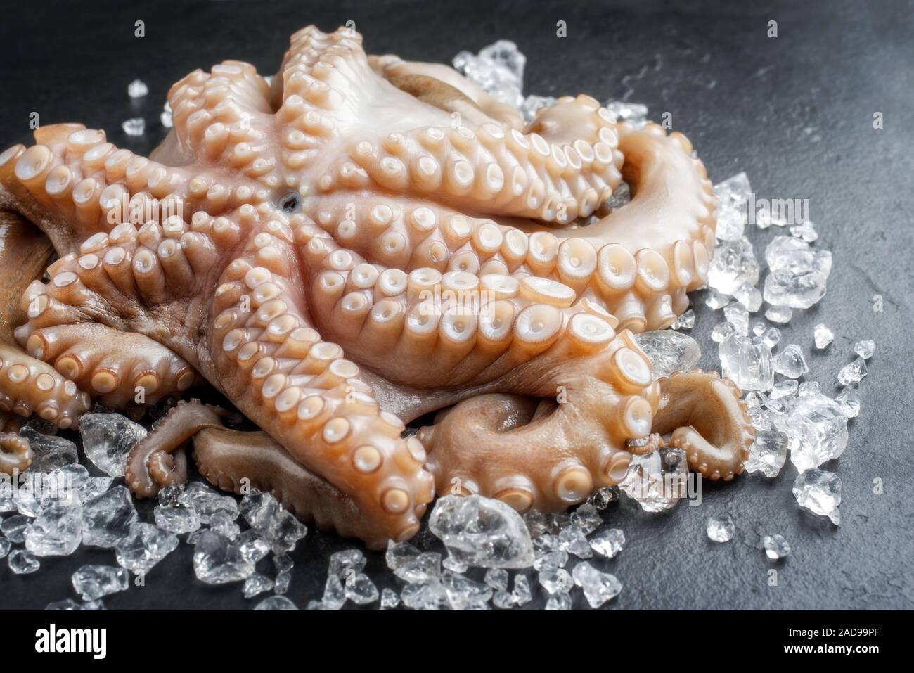 Fresh catched octopus offered as closeup on crushed ice at a display ...
