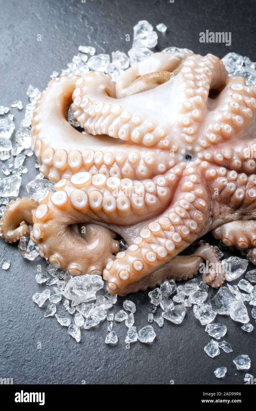 Ice sucker hi-res stock photography and images - Alamy