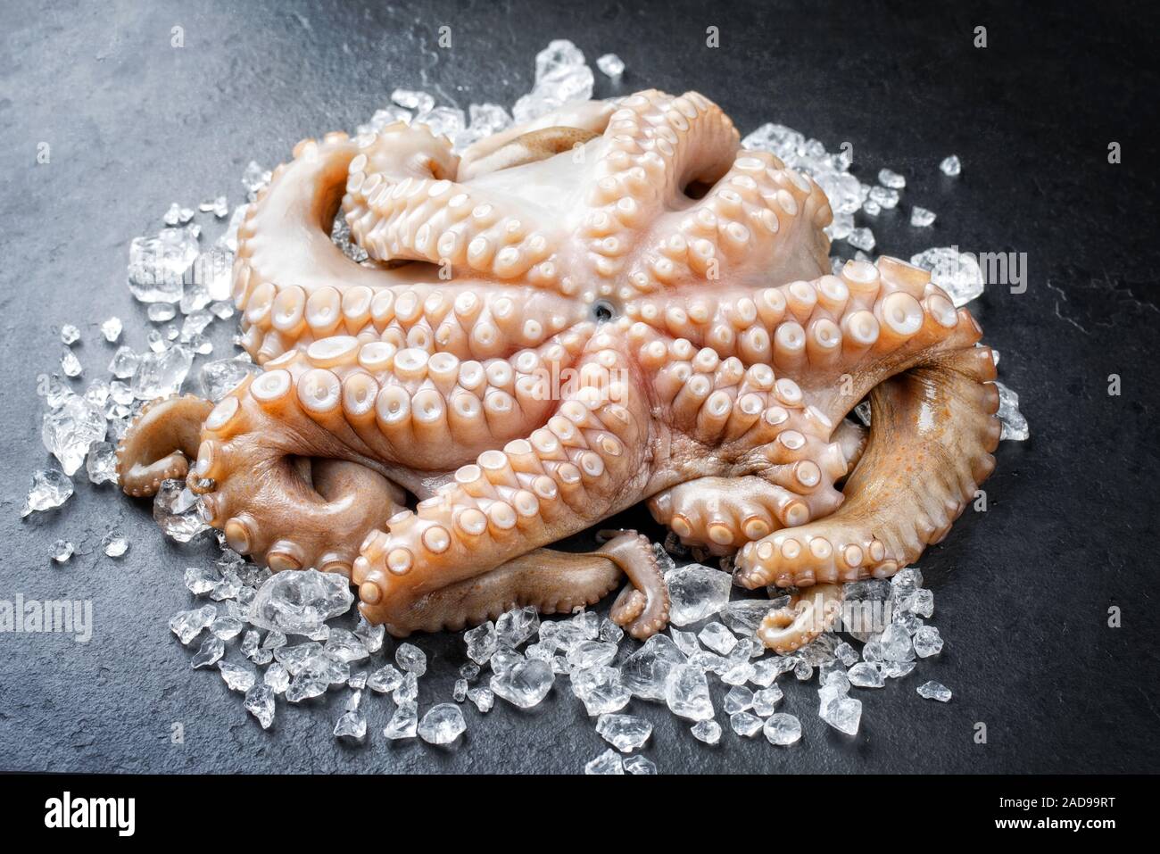 Fresh catched octopus offered as closeup on crushed ice at a display ...