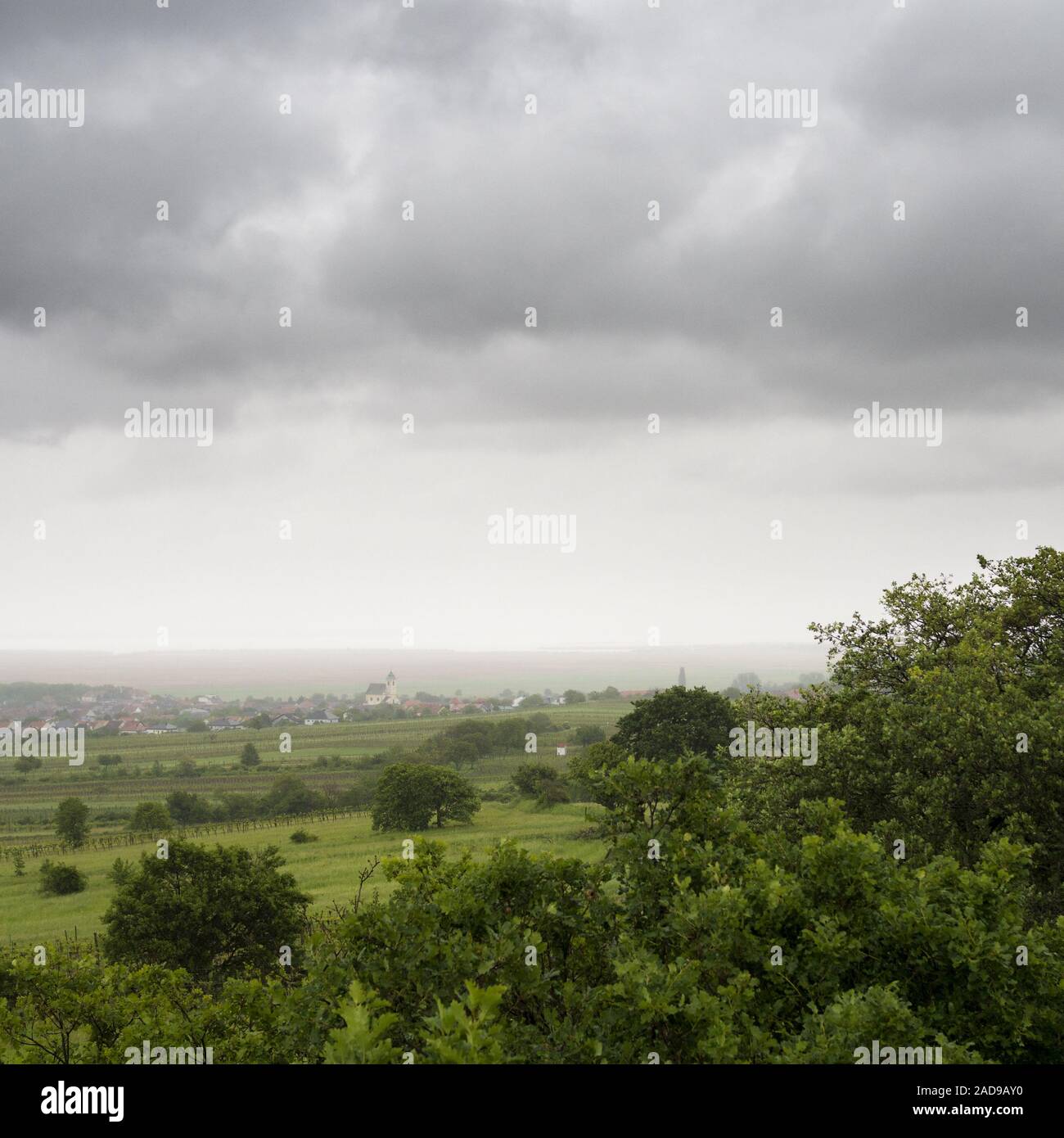 Landscape with vineyards and village at rainy weather Stock Photo - Alamy
