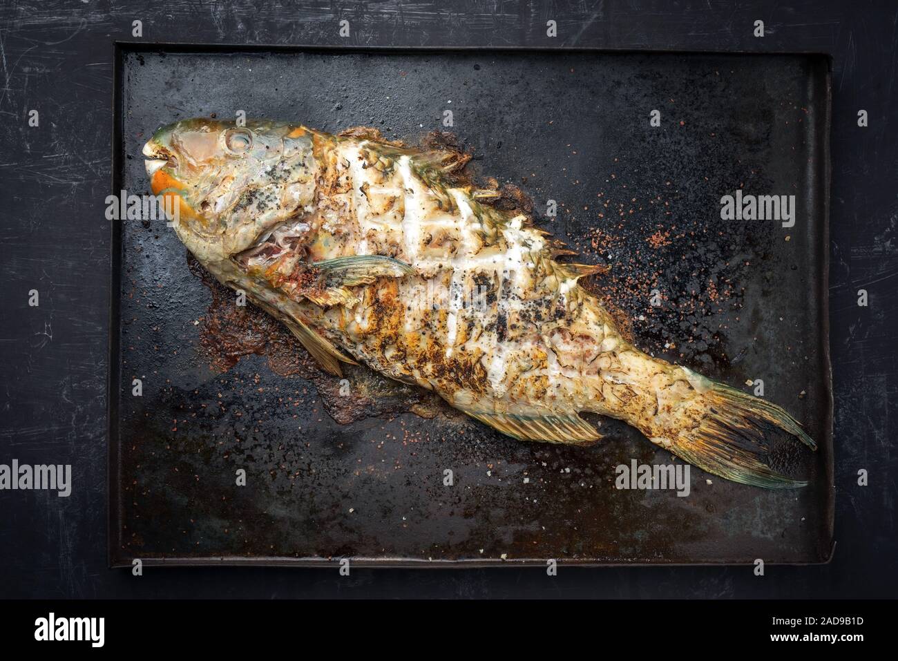 Traditional BBQ saltwater parrotfish as top view on an old black board ...