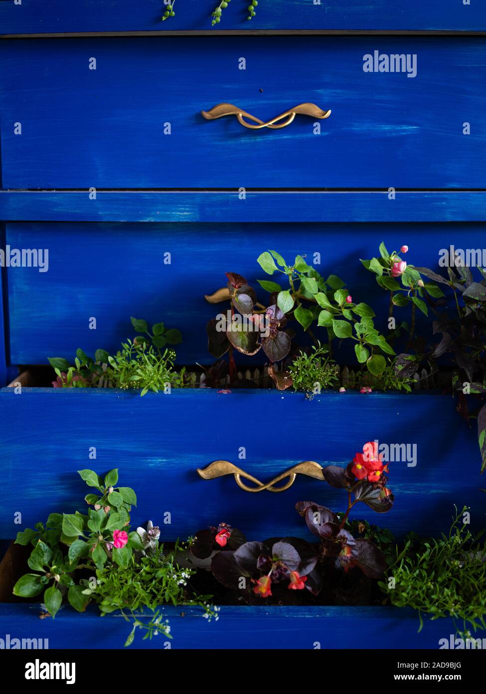 Blue garden dresser hi-res stock photography and images - Alamy