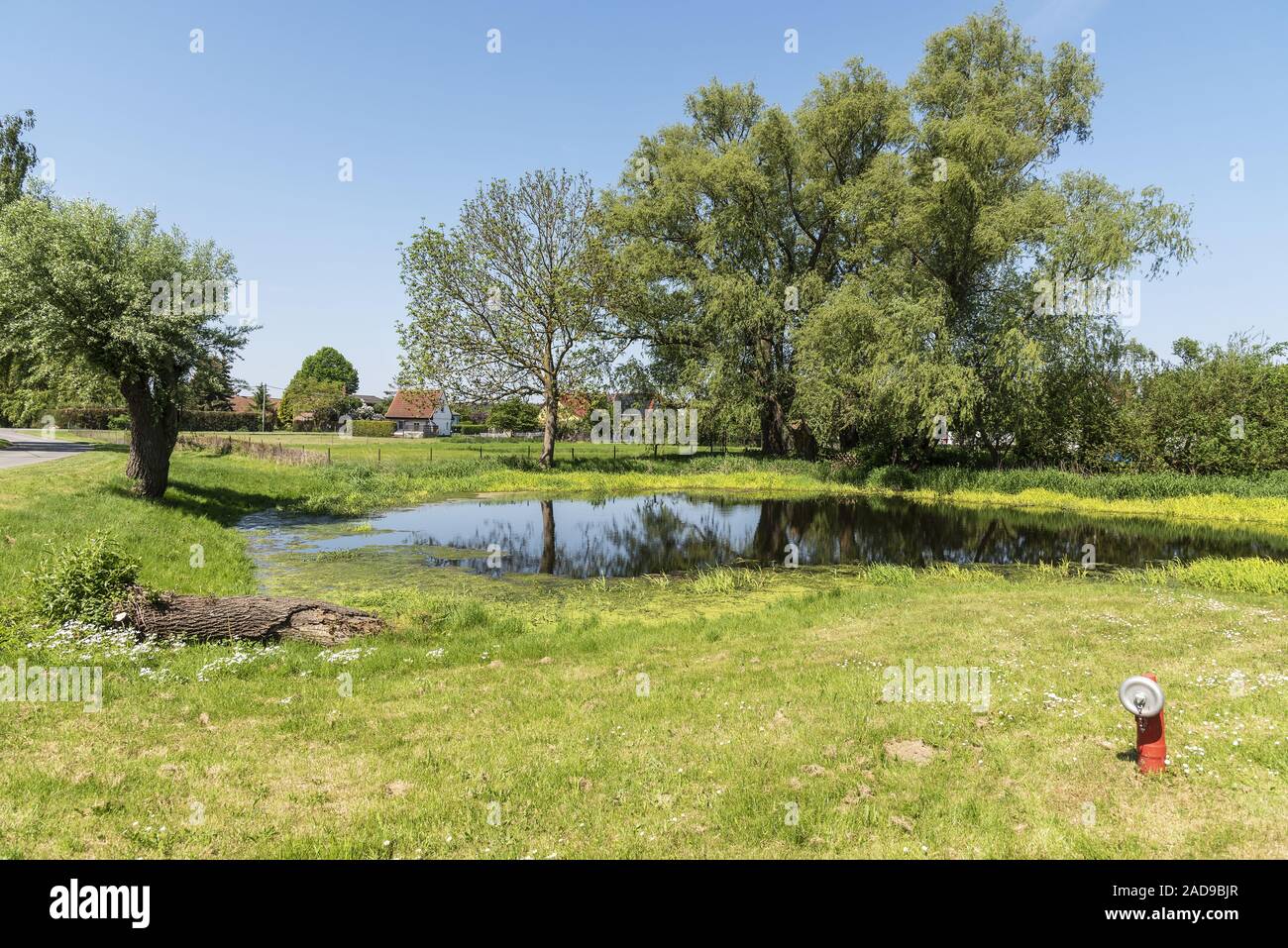 fire-fighting pond, Tessmannsdorf, Am Salzhaff, Mecklenburg-Western ...