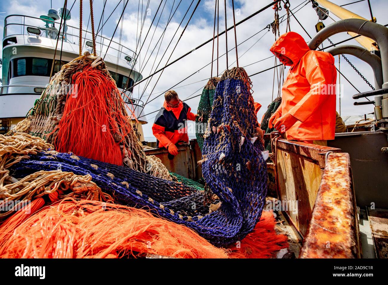 Pulse fishing hi-res stock photography and images - Alamy