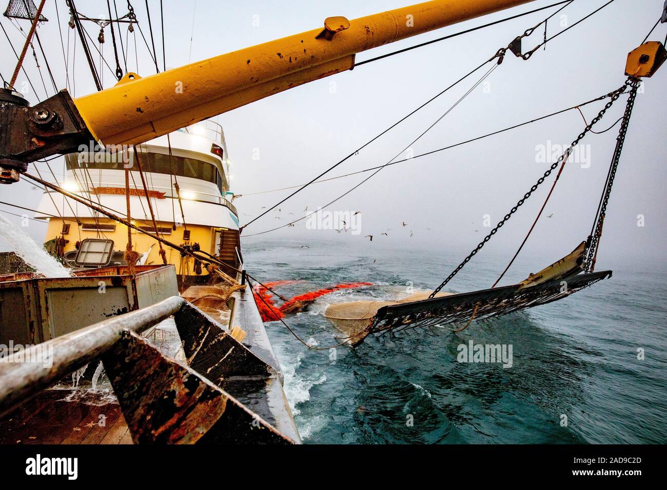 Pulse Fishing High Resolution Stock Photography and Images - Alamy