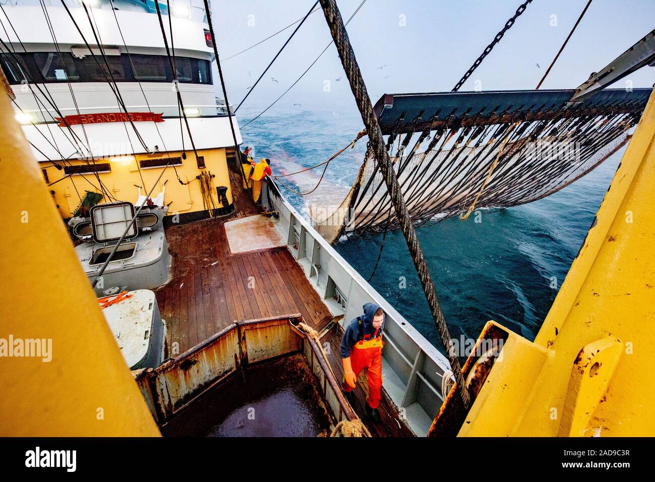 Pulse fishing hi-res stock photography and images - Alamy