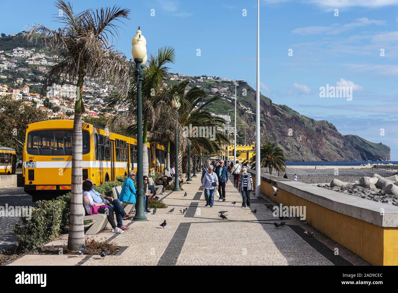 yellow buses, waterside promenade, Funchal, Madeira, Portugal, Europe ...