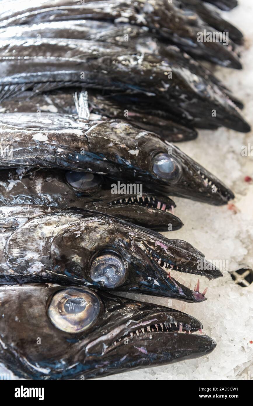 black scabbardfish, fish market, market hall, Funchal, Madeira ...