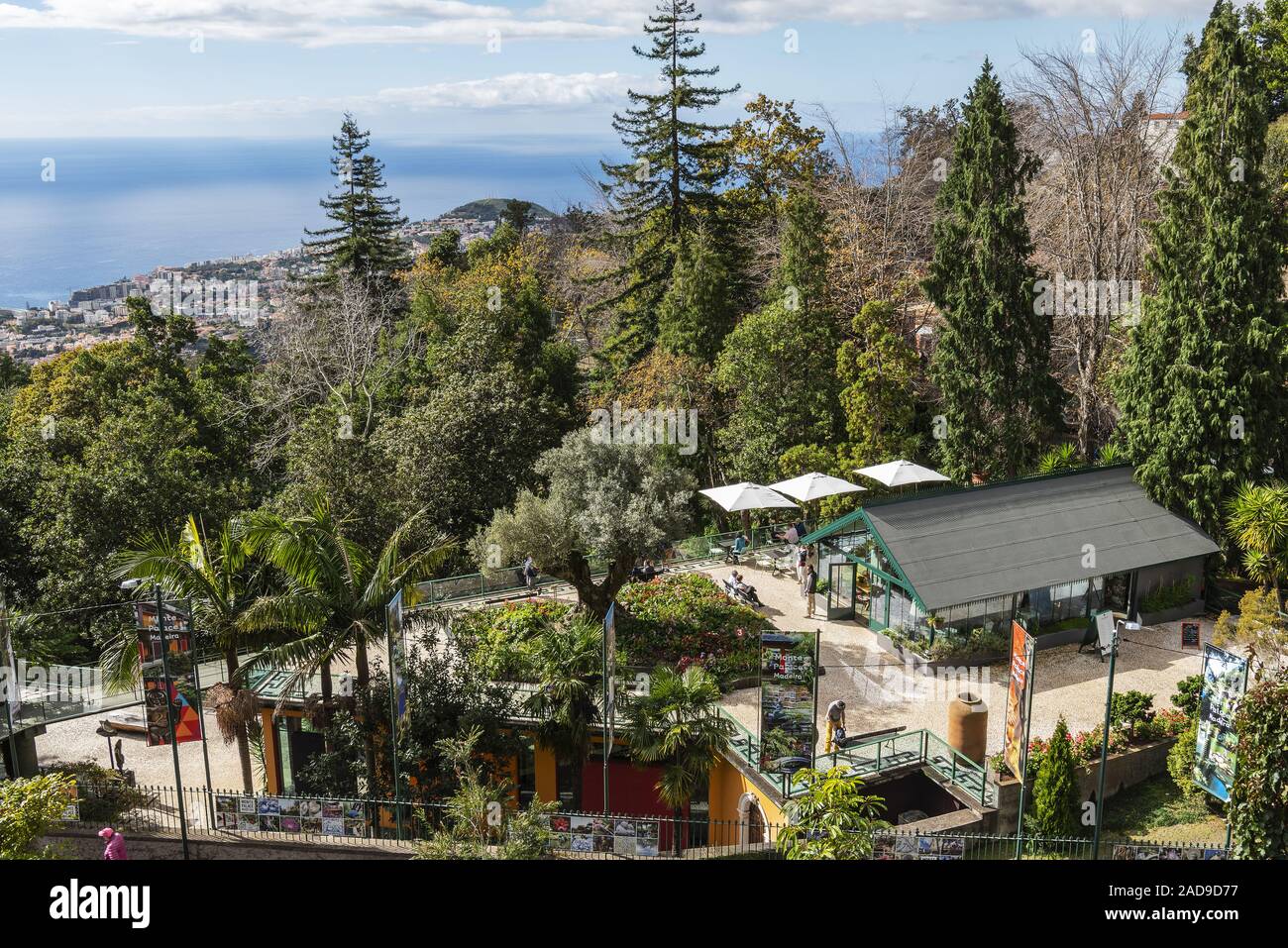 tropical garden, Monte, Funchal, Madeira, Portugal, Europe Stock Photo ...