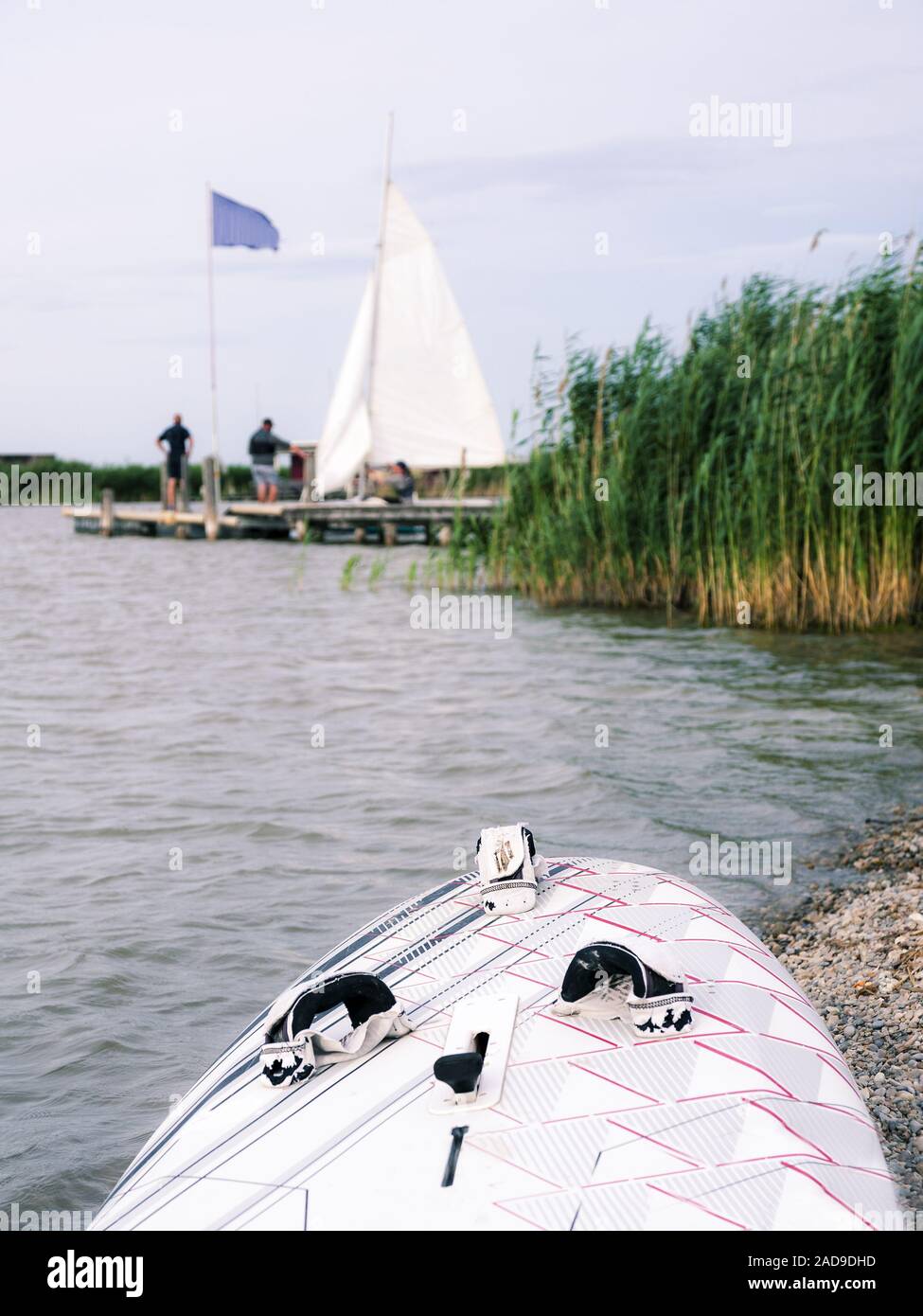 Lakeside Neusiedlersee with surf board and sailing boat Stock Photo - Alamy