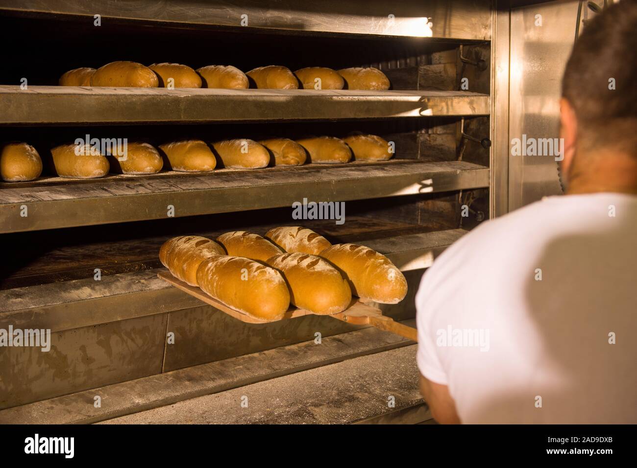 bakery worker taking out freshly baked breads Stock Photo - Alamy