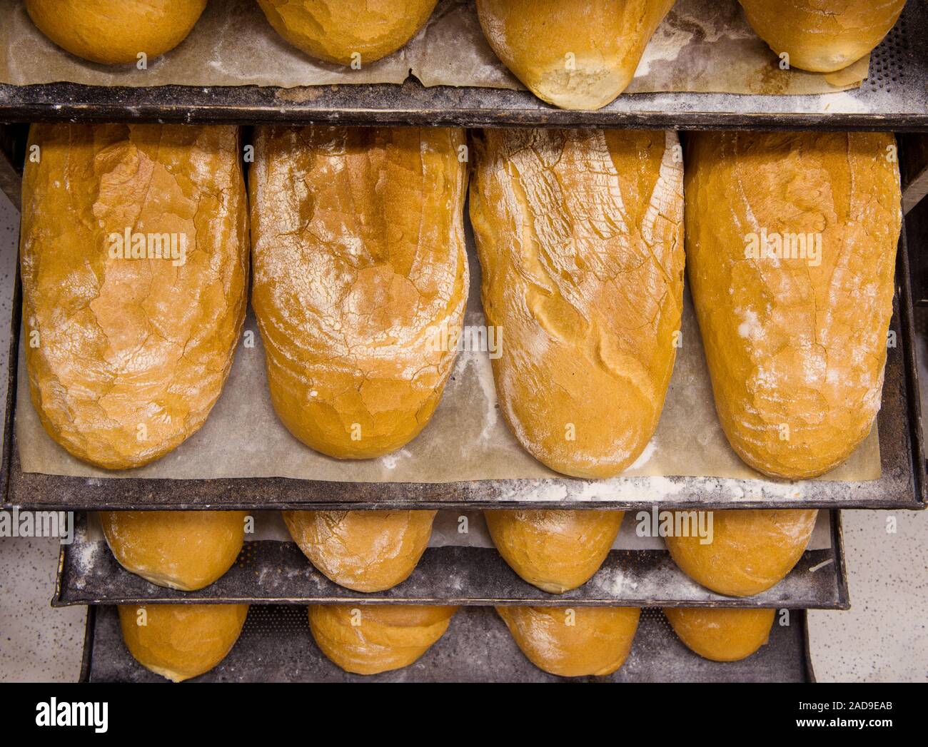 bread bakery food factory production with fresh products Stock Photo ...