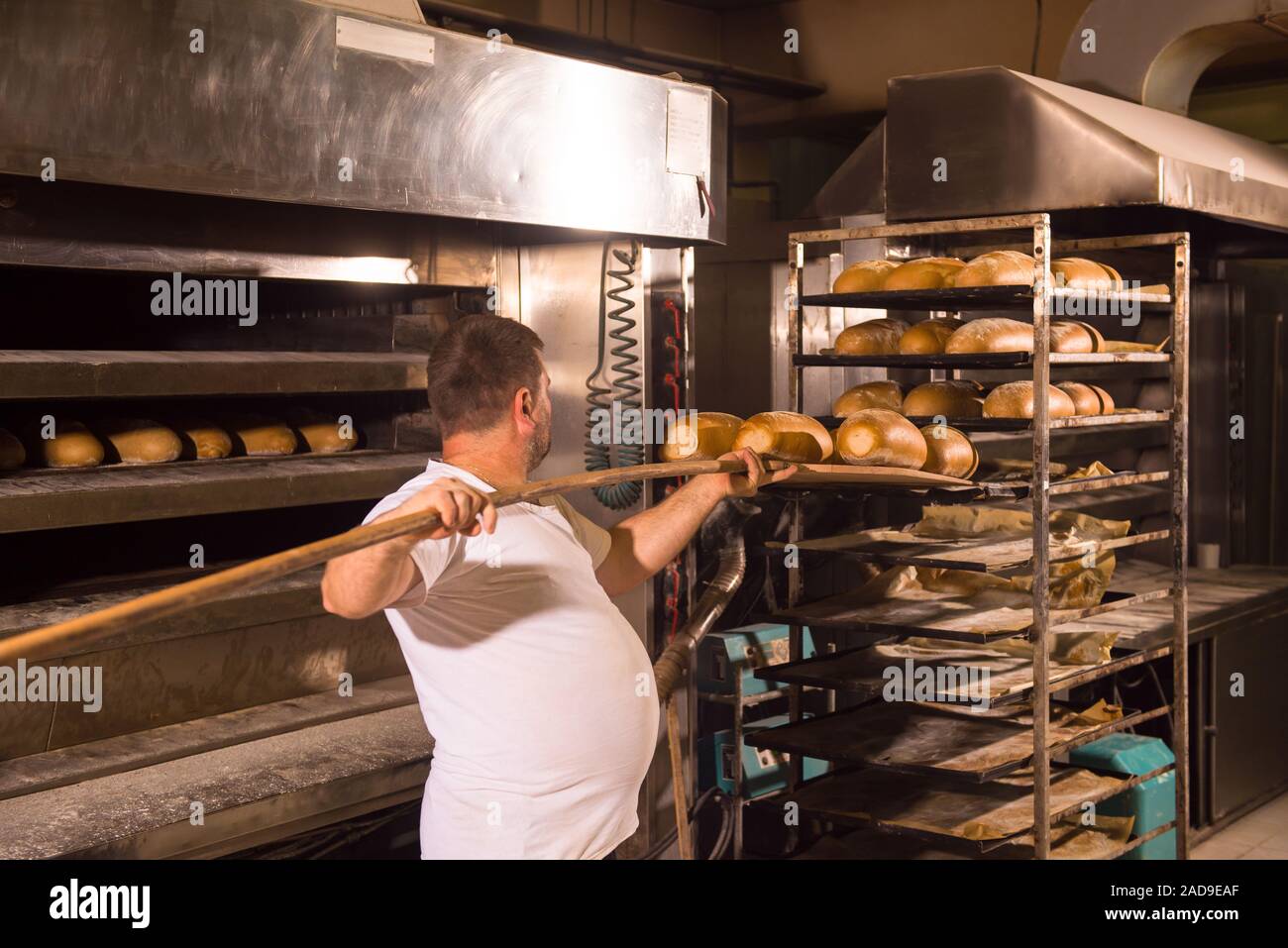 bakery worker taking out freshly baked breads Stock Photo - Alamy