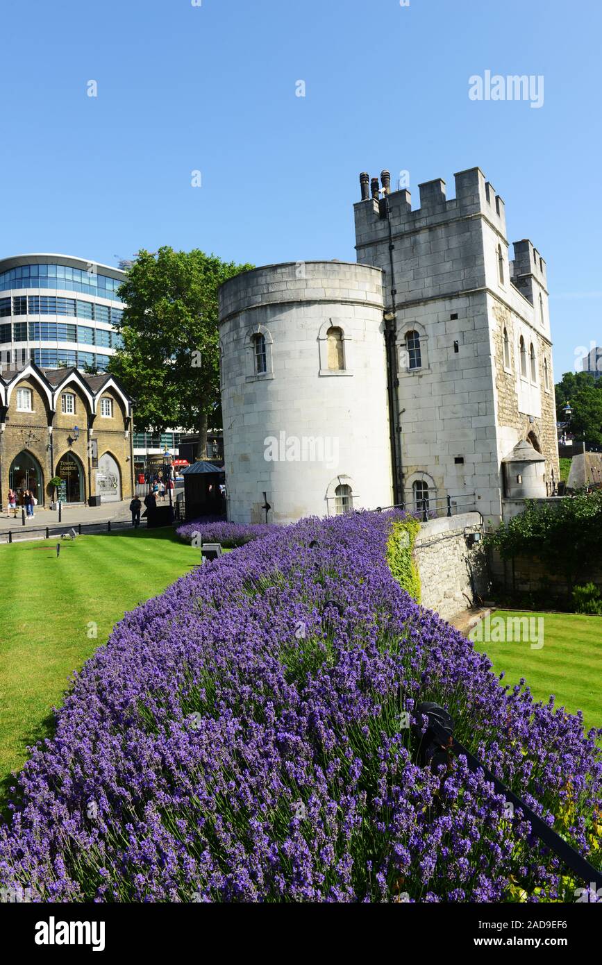 The Tower of London medieval castle Stock Photo - Alamy