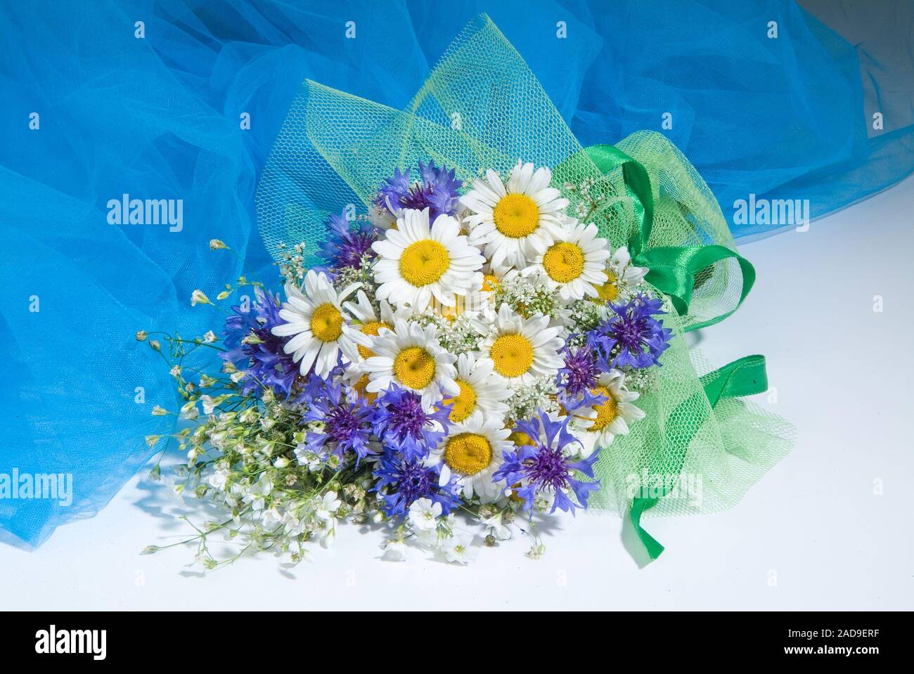 Composition With Flowers Stock Photo - Alamy