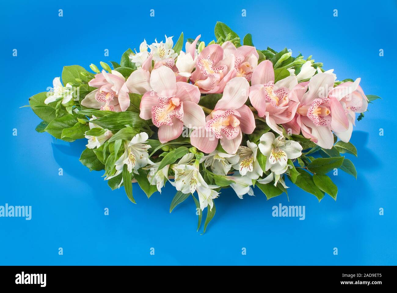 Beautiful composition red flowers hi-res stock photography and images ...