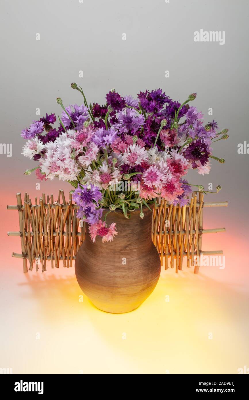 Composition With Flowers Stock Photo - Alamy