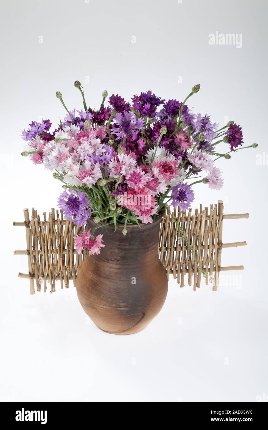 Composition With Flowers Stock Photo - Alamy