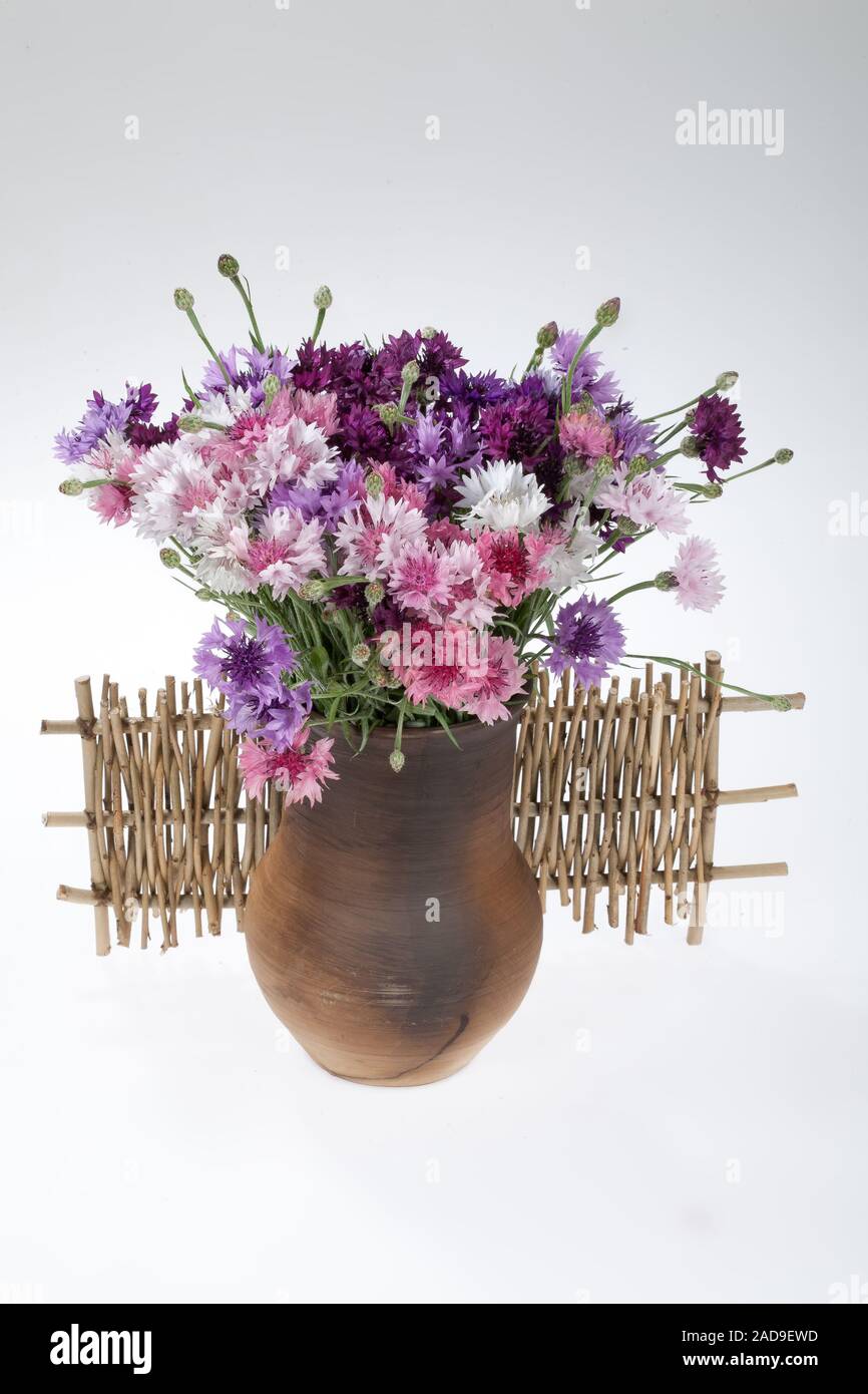 Composition With Flowers Stock Photo - Alamy