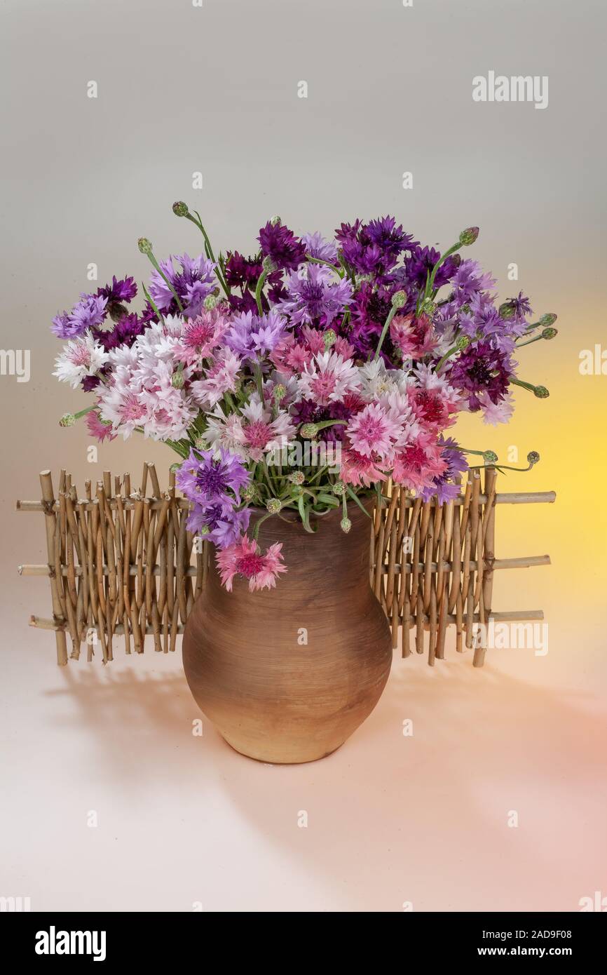 Composition With Flowers Stock Photo - Alamy