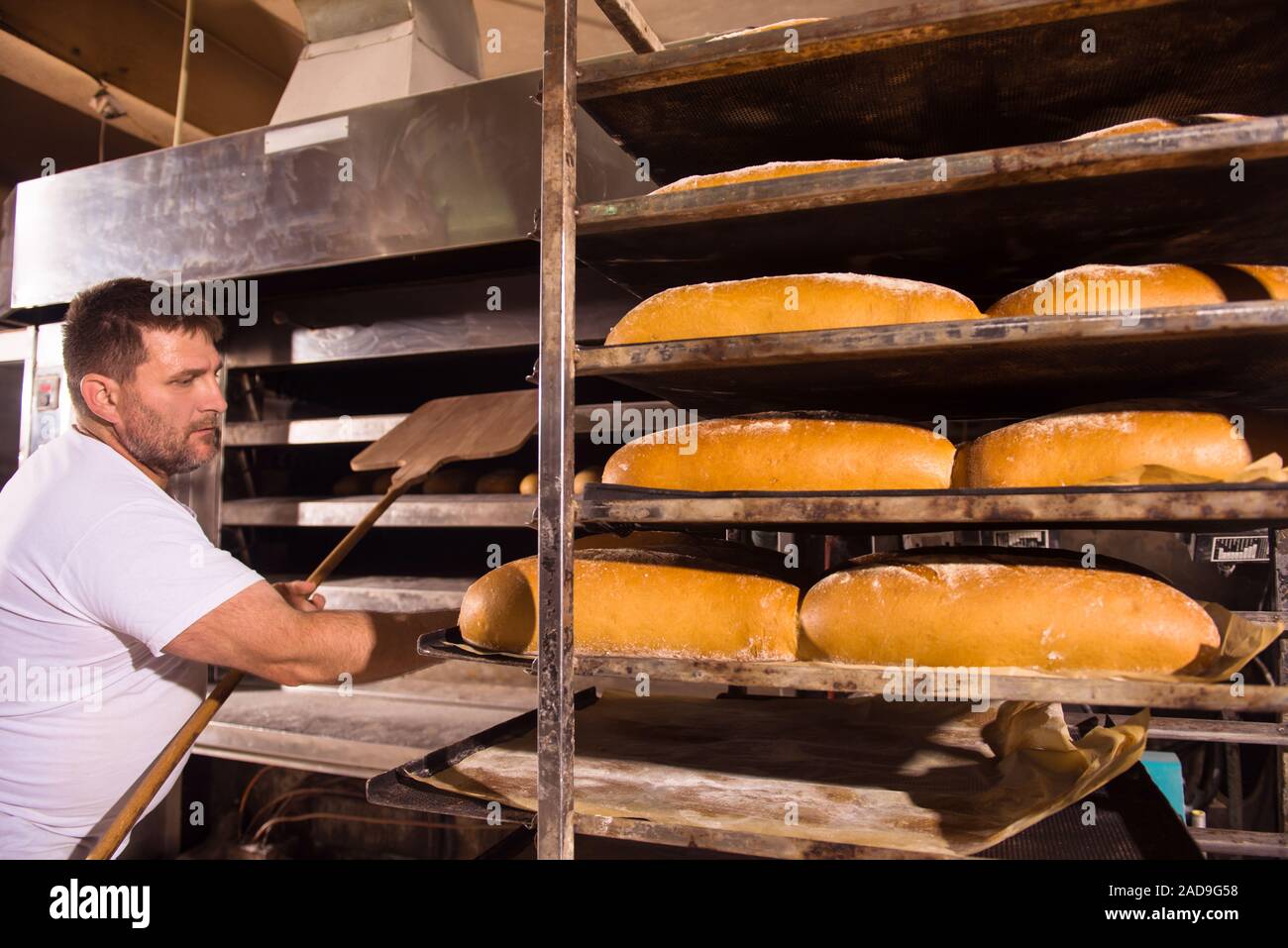 bakery worker taking out freshly baked breads Stock Photo - Alamy