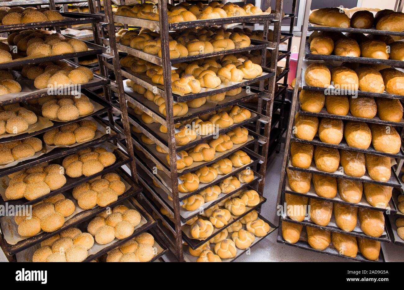 Bread Bakery Factory at Maria Couch blog Bread Bakery Factory at Maria Couch blog
