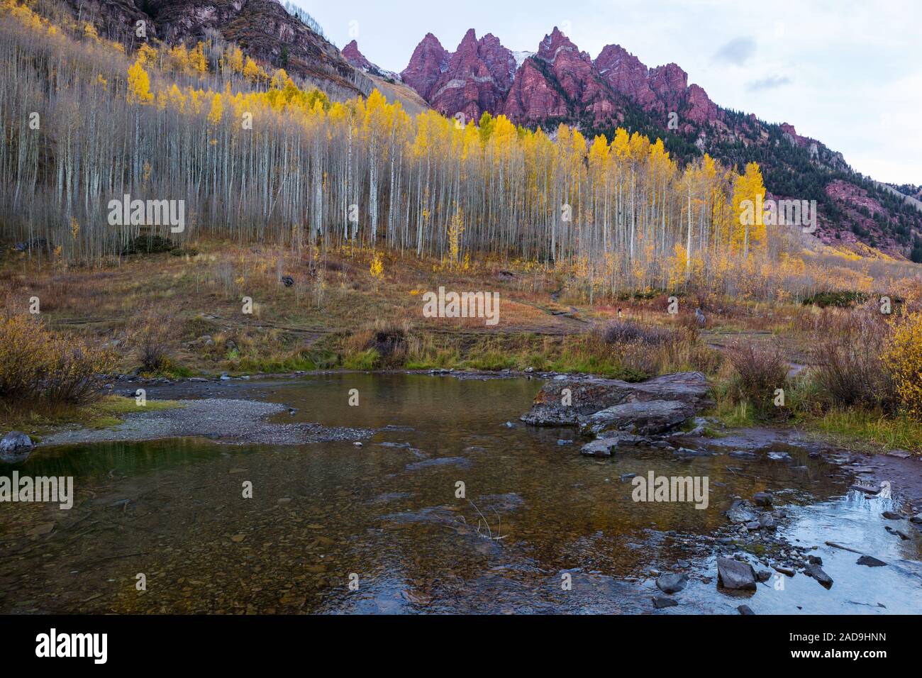 Autumn in Colorado Stock Photo - Alamy