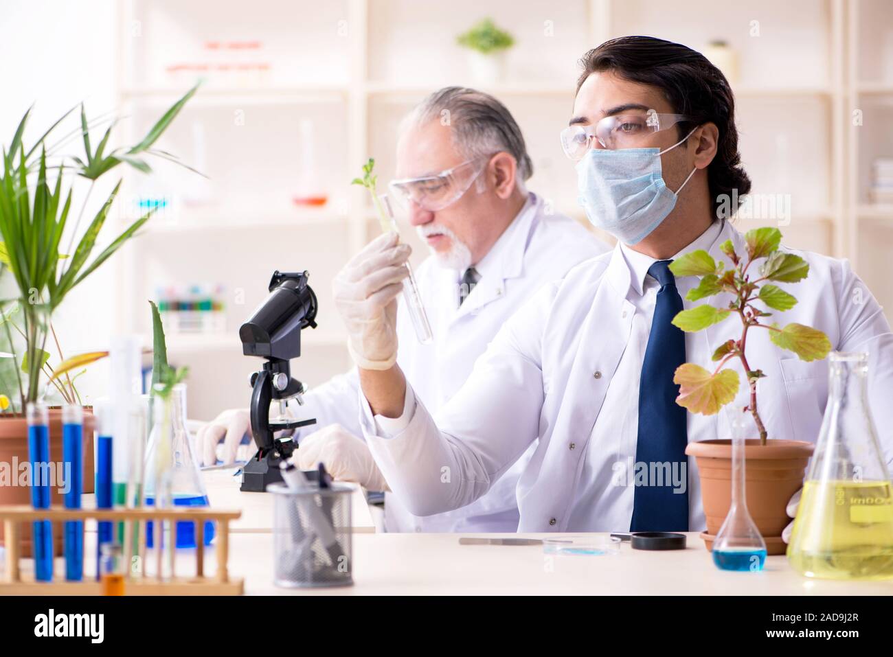 Two chemists working in the lab Stock Photo - Alamy
