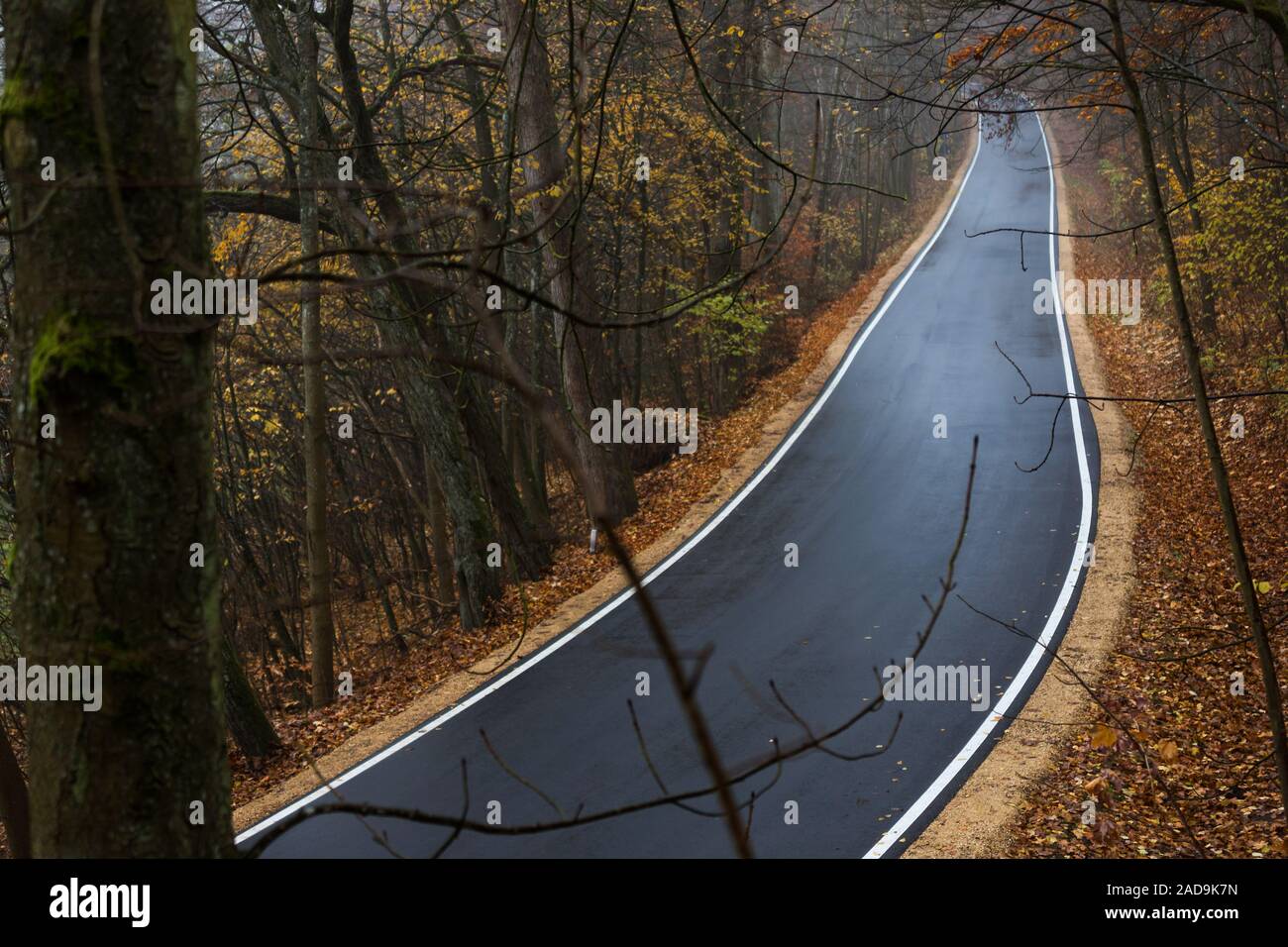 Empty autumn hi-res stock photography and images - Alamy